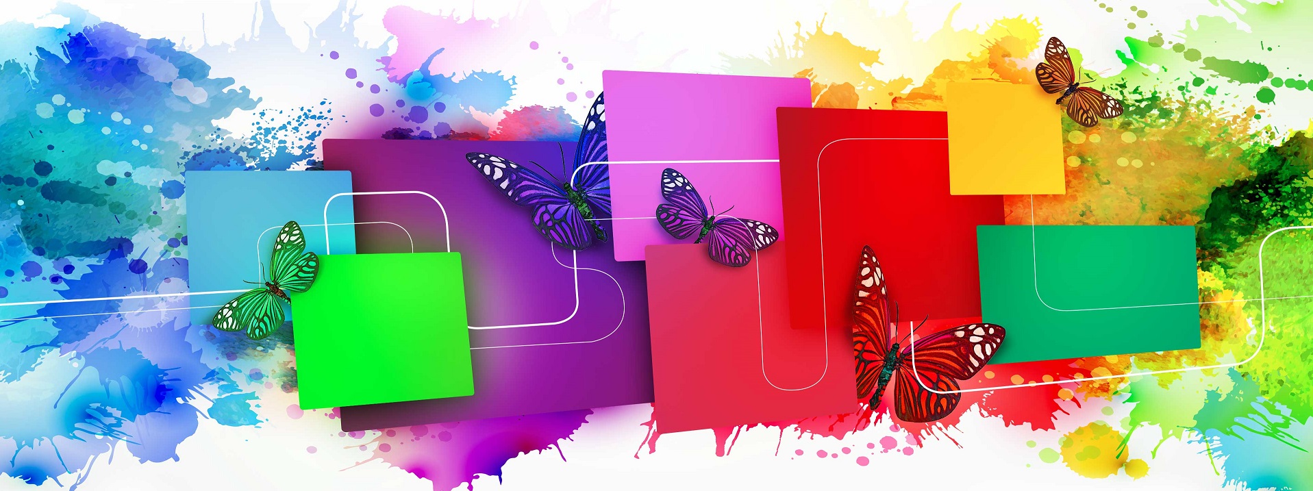 Explore Our Stunning Gallery : A Visual Feast of Creativity